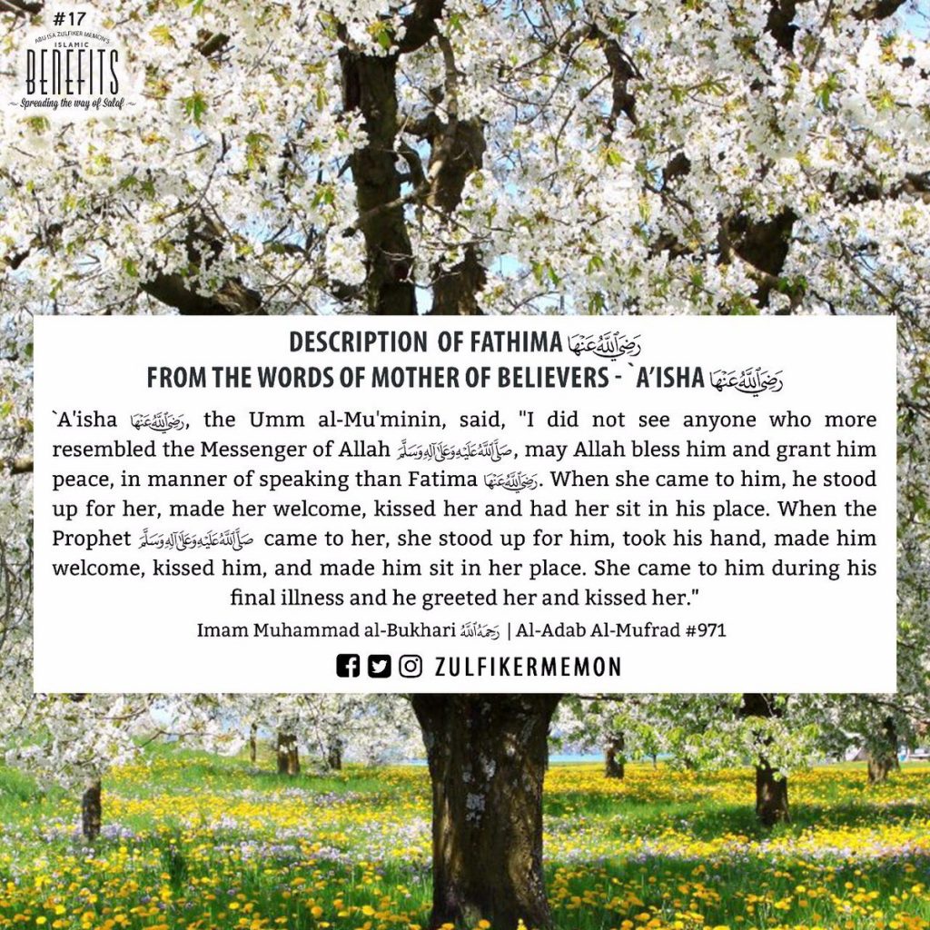 DESCRIPTION OF FATIMA BY THE MOTHER OF BELIEVERS - AISHA - E M A A N L ...