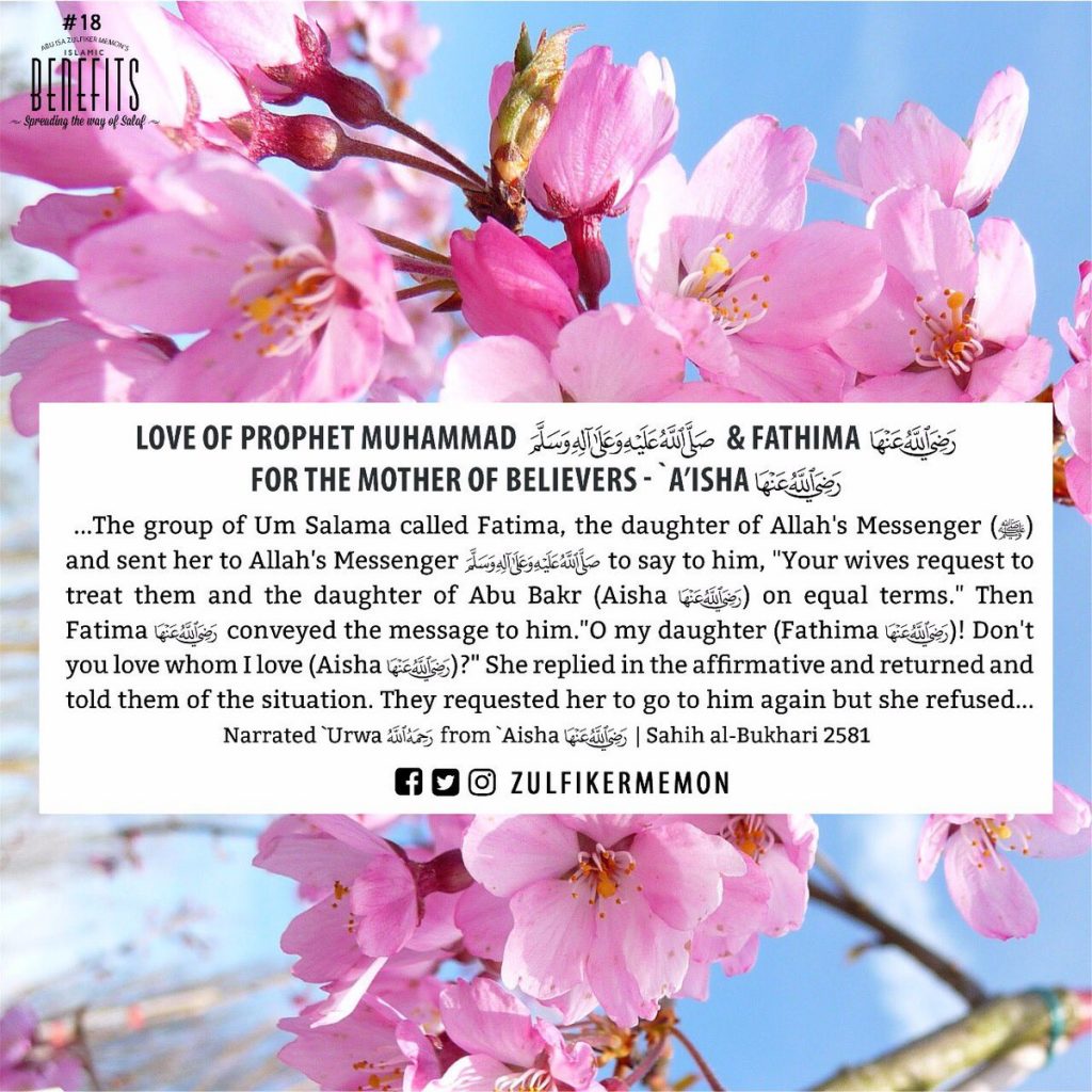 LOVE OF PROPHET MUHAMMAD & FATIMA FOR THE MOTHER OF BELIEVERS - AISHA ...